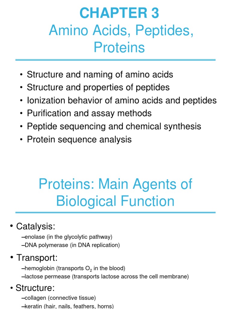 Amino Acids, Peptides, Proteins | PDF | Amino Acid | Acid Dissociation Constant