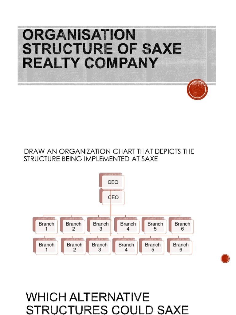 Organaization Structure SAXE | PDF | Chief Executive Officer ...