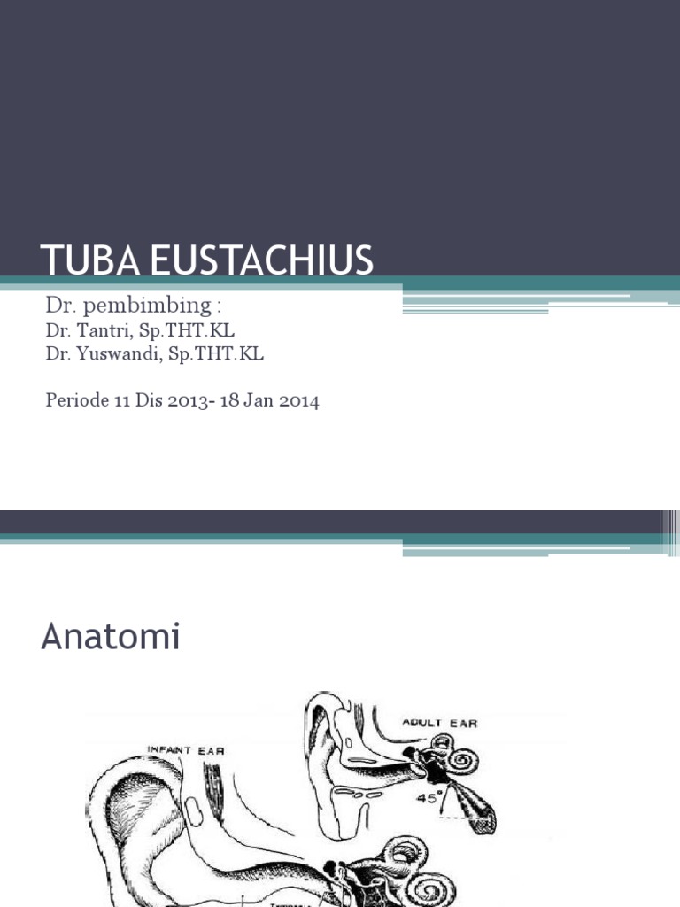 Tuba Eustachius | PDF