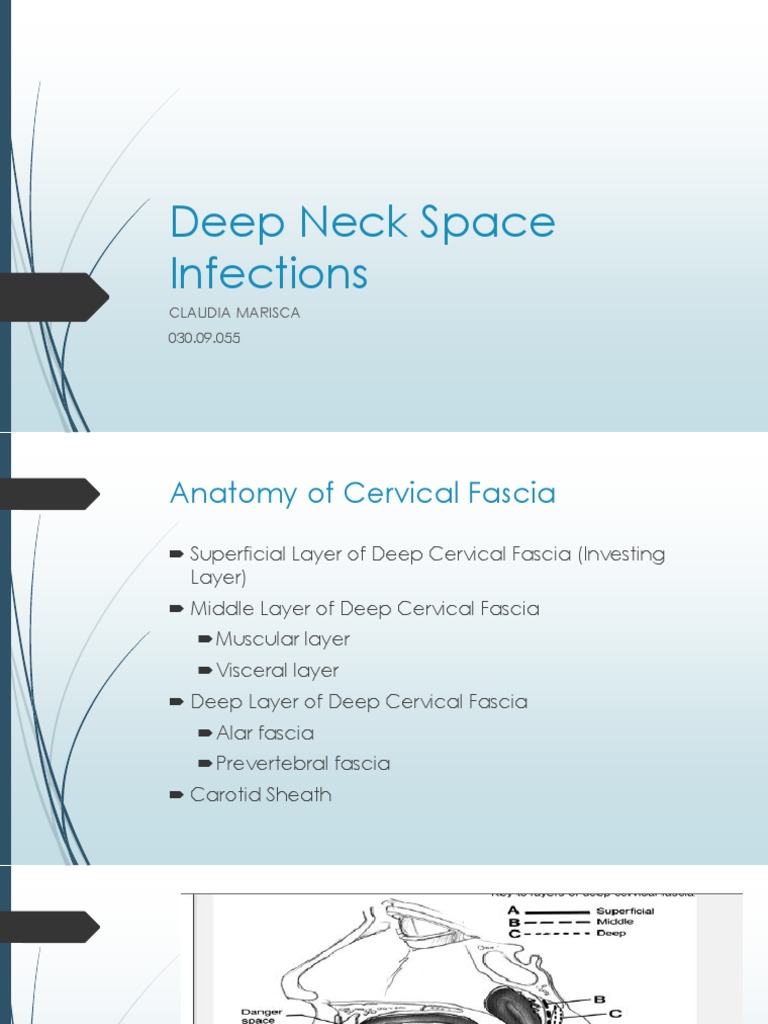 Deep Neck Space Infections | Download Free PDF | Neck | Thrombosis