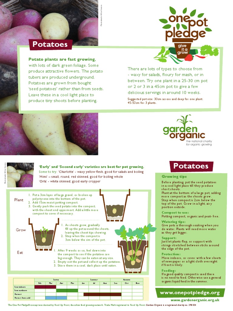 Potatoes - Organic Growing Guides For Teachers + Students + Schools ...