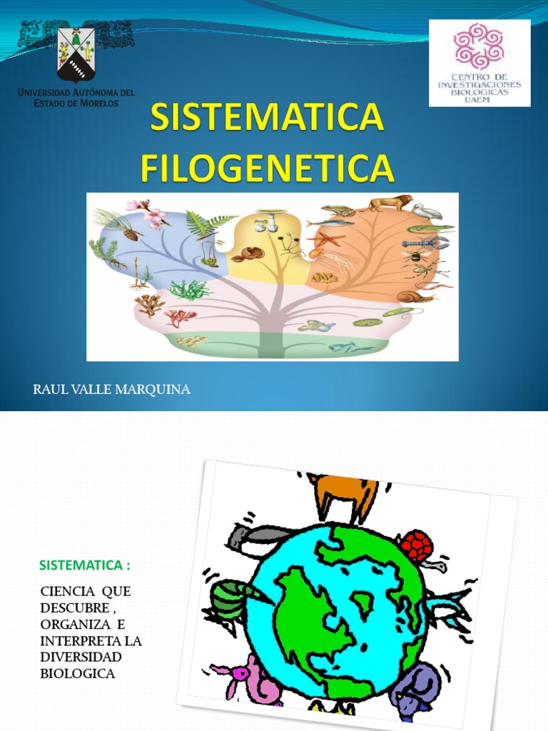 SISTEMATICA FILOGENETICA 2.pptx | Taxonomía (biología) | Filogenética
