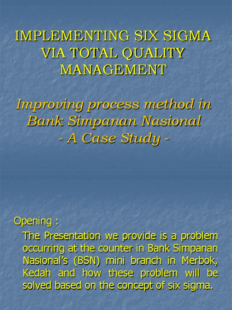 Dialog Six Sigma Case Study Halili Group | PDF | Six Sigma | Risk ...