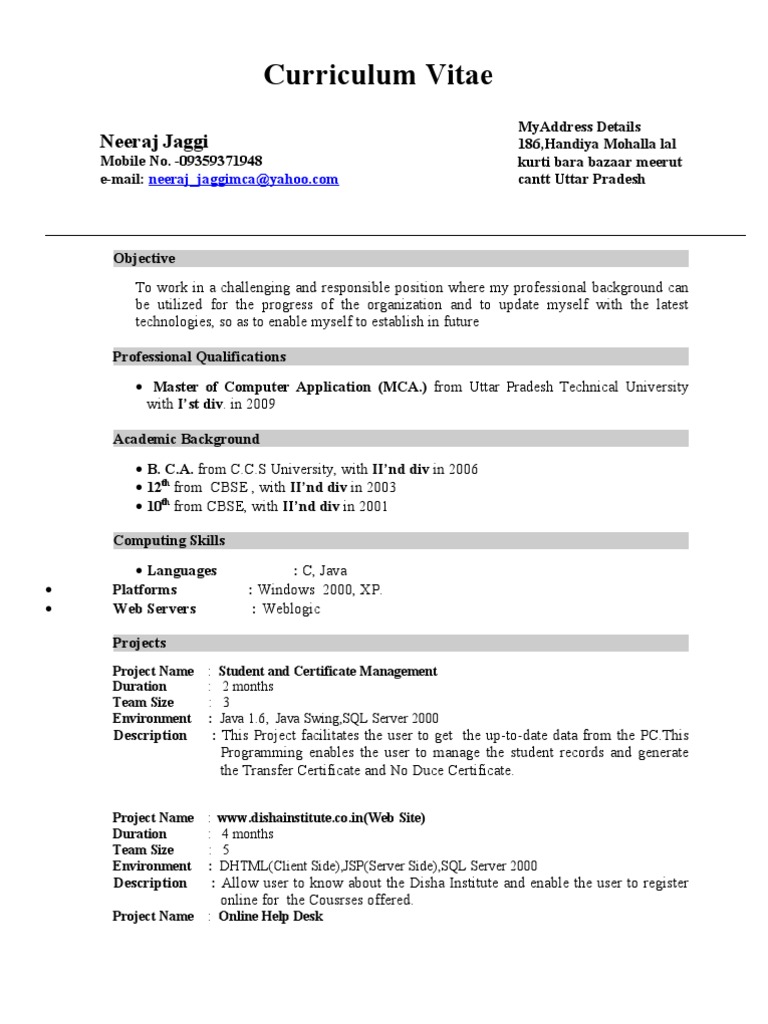 Neeraj Resume | PDF | Search Engine Optimization | Computing