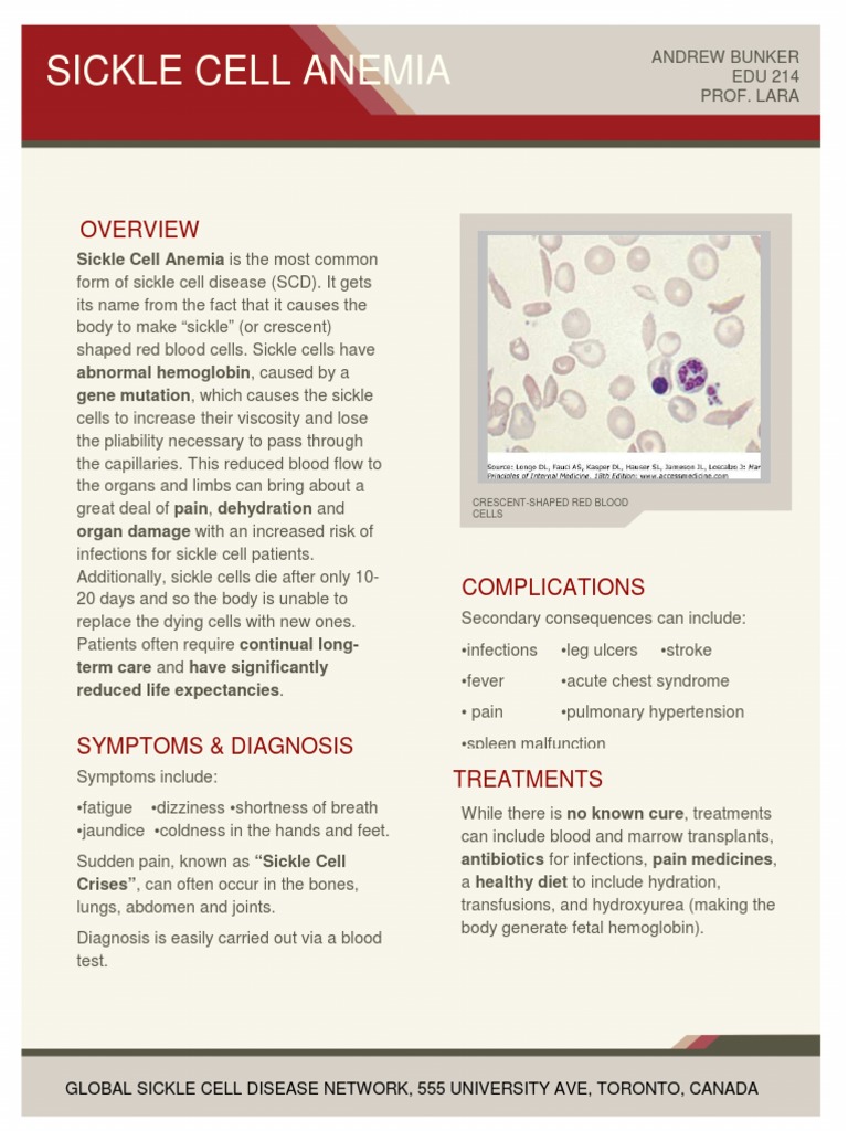 Sickle Cell Anemia Fact Sheet | PDF | Sickle Cell Disease | Anemia