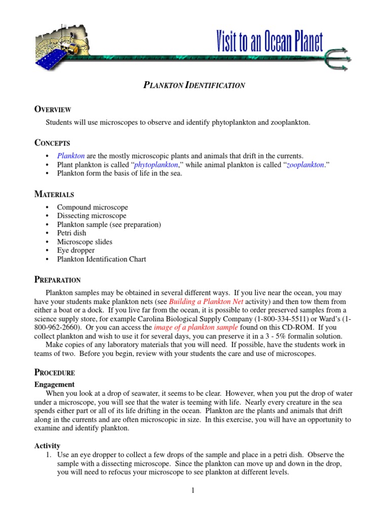 Plankton Identification | PDF | Plankton | Phytoplankton