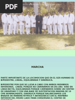 Marcha Trendelenburg: Análisis y Alteraciones | PDF | Pelvis | Sistema ...