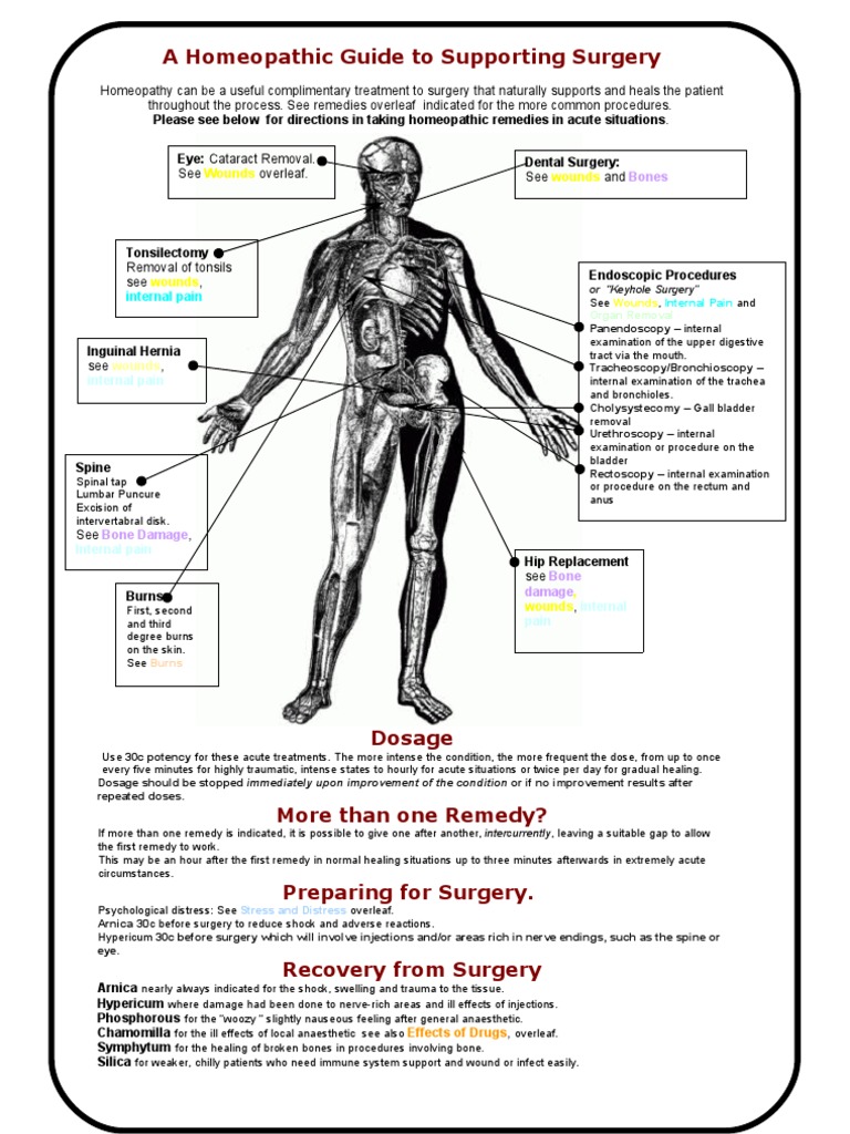 Homeopathic Support During Surgery - Therapeutic Reference Sheet | PDF ...