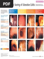 UAS7 Questionnaire | PDF | Chronic Condition | Medicine