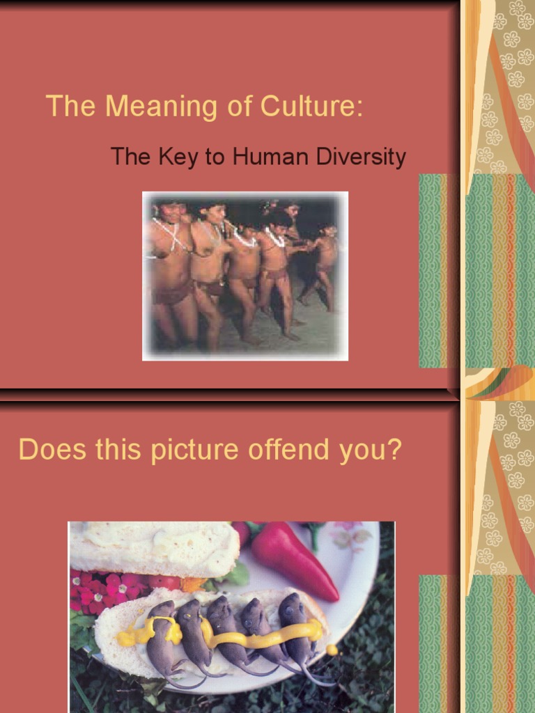 The Meaning of Culture | PDF | Human | Symbols