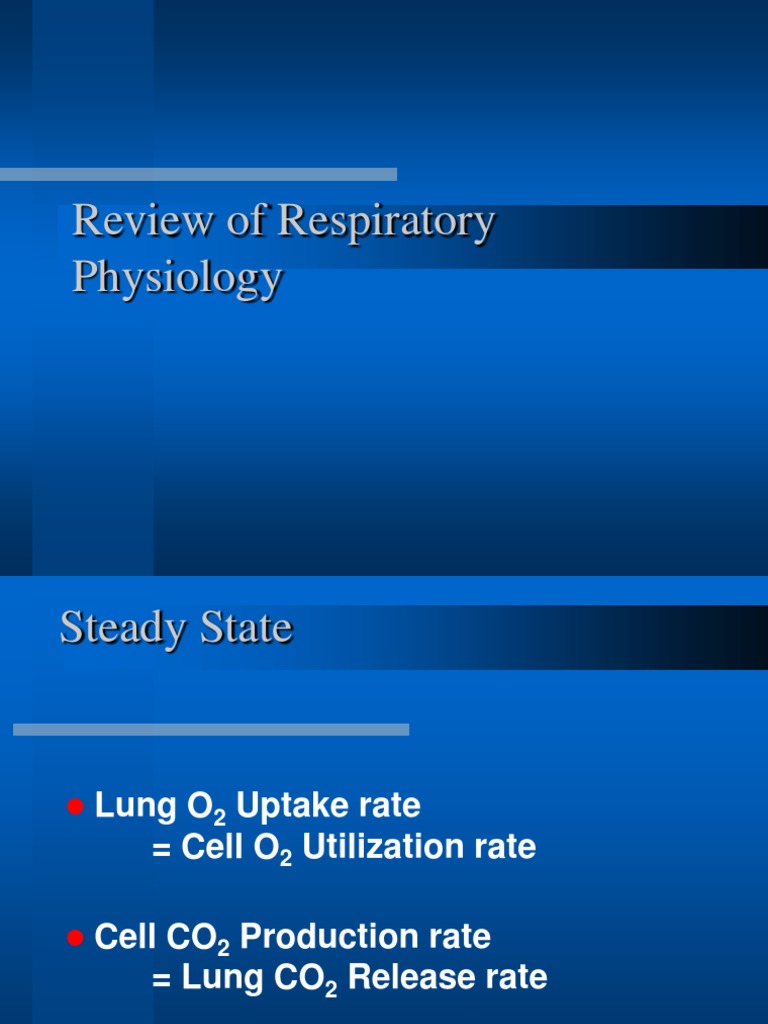 Respiratory Physiology Review and Analysis | PDF | Carbon Dioxide ...