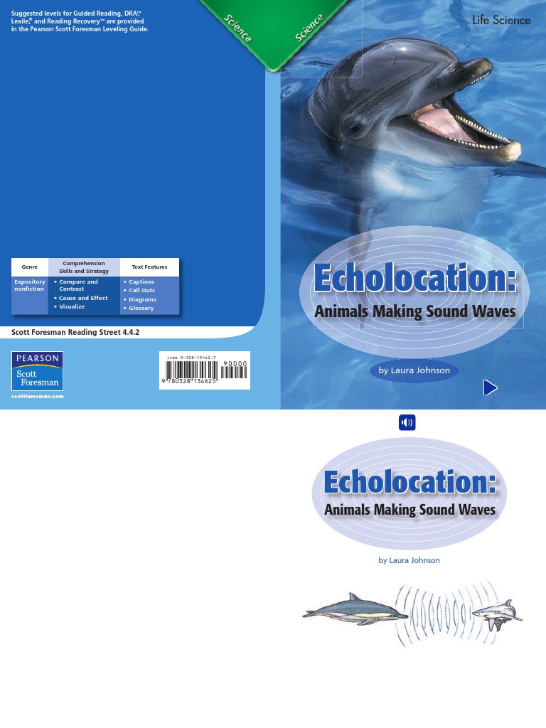 Echolocation | PDF | Bat | Hearing