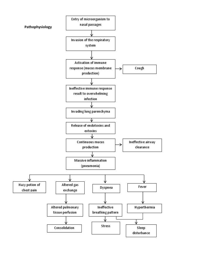 Pathophysiology Pneumonia