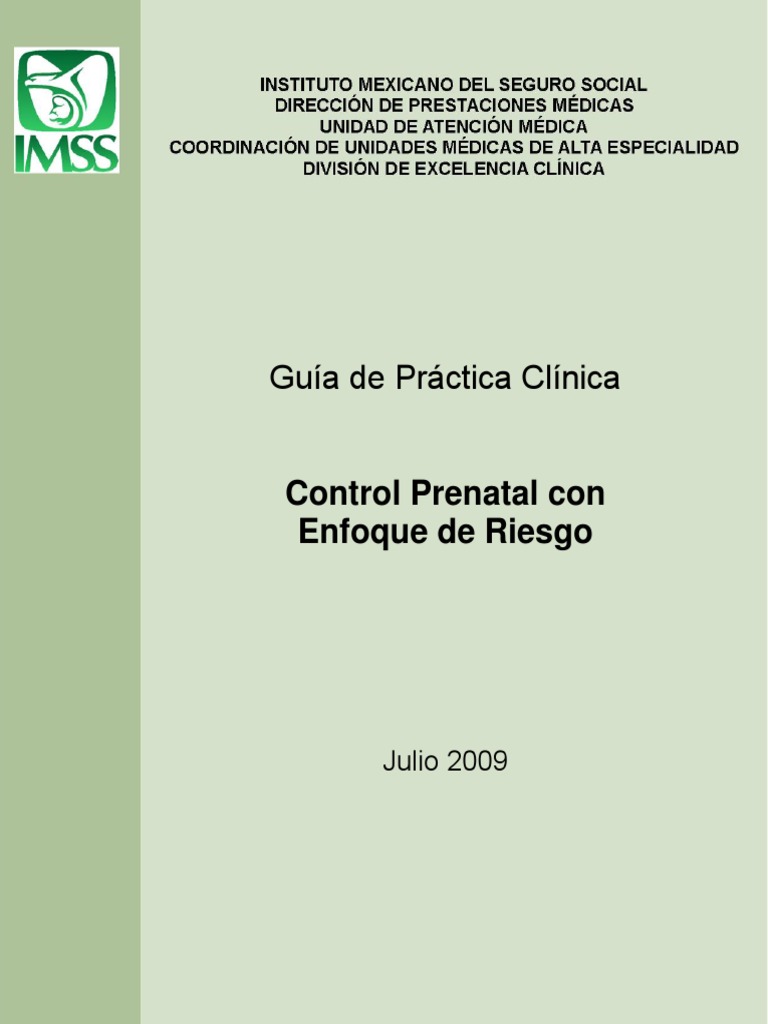 GPC Control Prenatal | Embarazo | Muerte materna