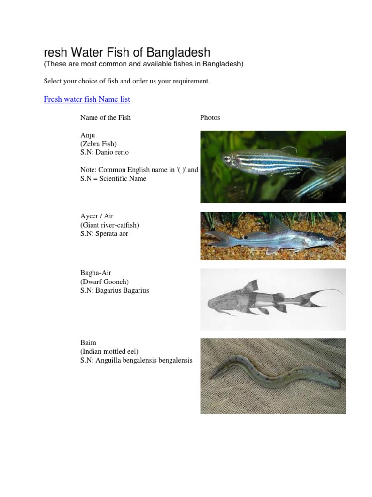 Resh Water Fish of Bangladesh | PDF