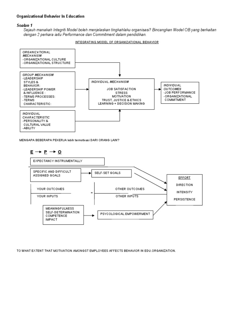 Mind Map Ans Ob | PDF