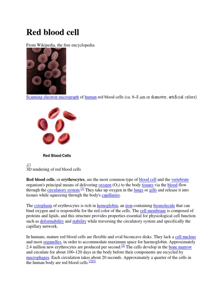 Red Blood Cell | PDF | Red Blood Cell | Hemoglobin