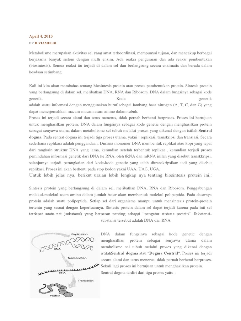 Biosintesa Protein | PDF