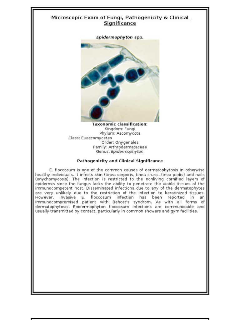 Microscopic Exam of Fungi | PDF | Candidiasis | Aspergillus