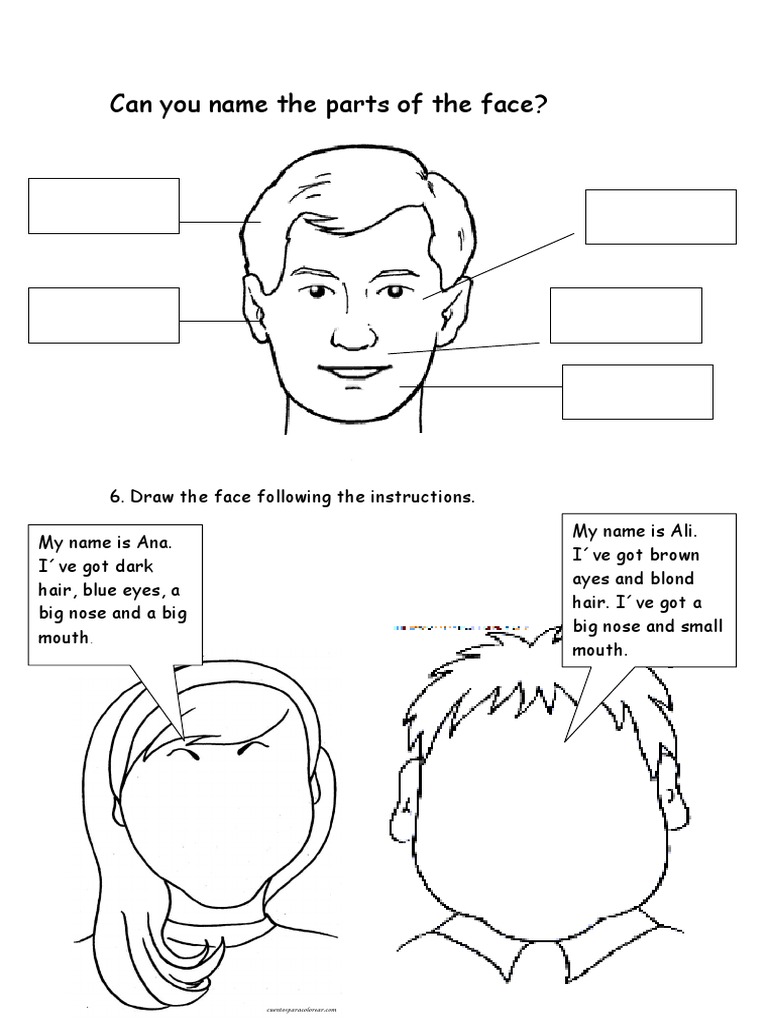 Face Parts for Kids | PDF