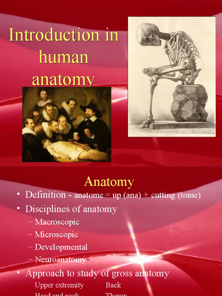 Introduction in Human Anatomy | PDF | Anatomical Terms Of Location ...