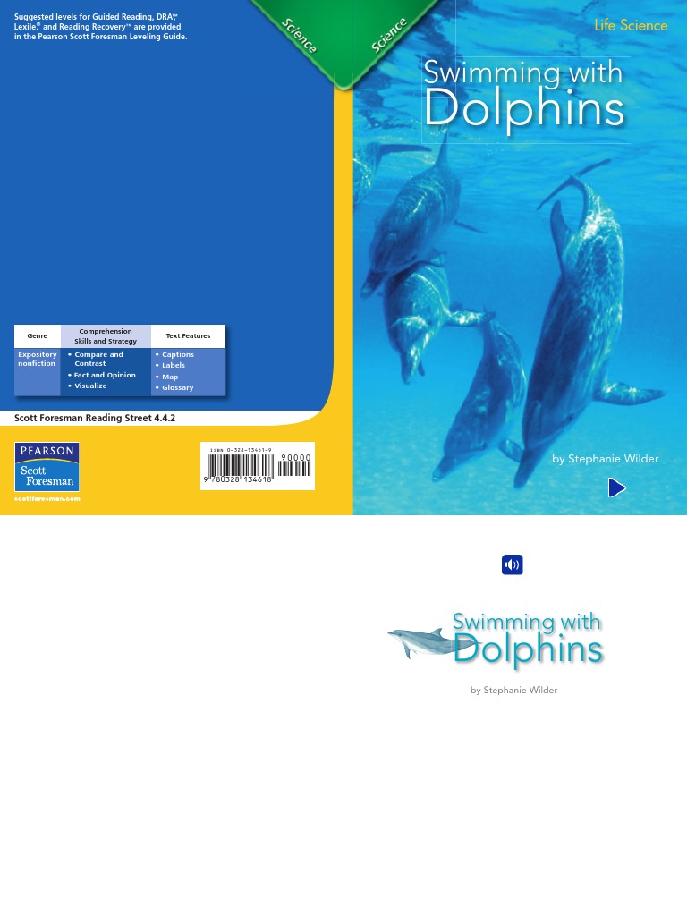 Swimming With Dolphins | PDF | Dolphin | Whales