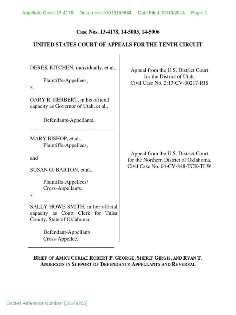 13-4178 Amicus Brief of Robert George, Et Al. | PDF | Amicus Curiae ...