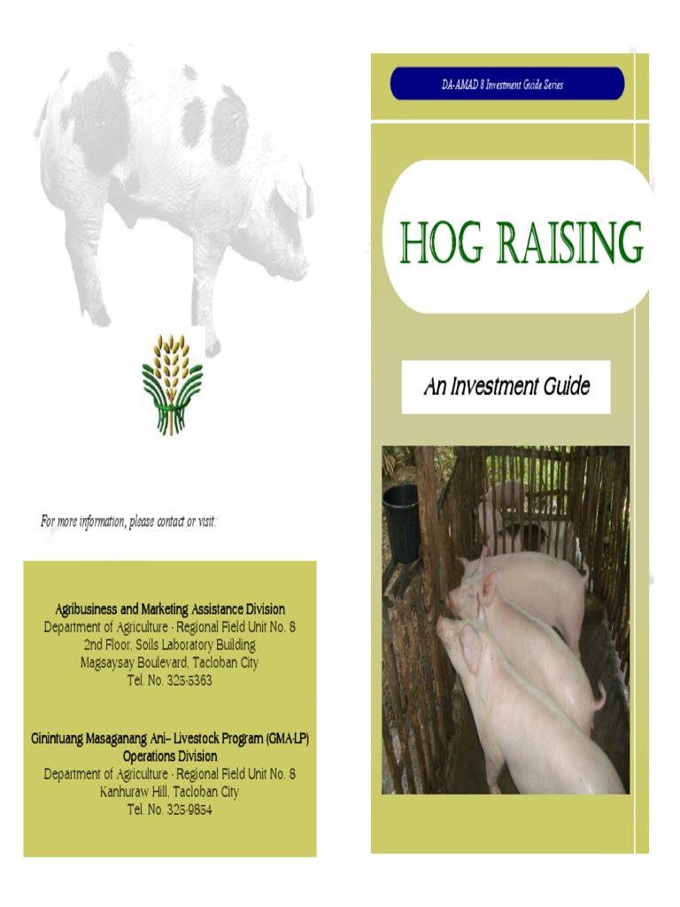 Hog RAISING | PDF | Domestic Pig | Pig