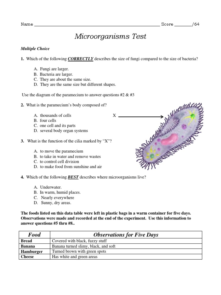 Microorganisms Test: Multiple Choice | PDF | Microorganism | Decomposition