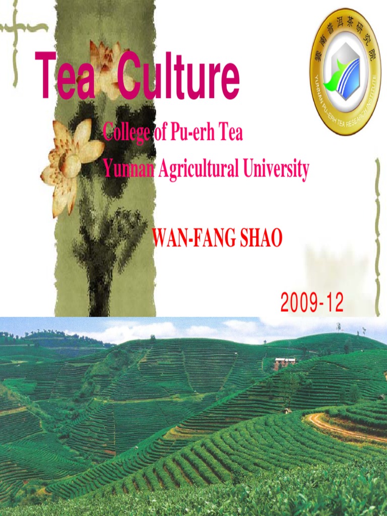 General Tea Introduction 2010 | PDF | Tea | Flavor