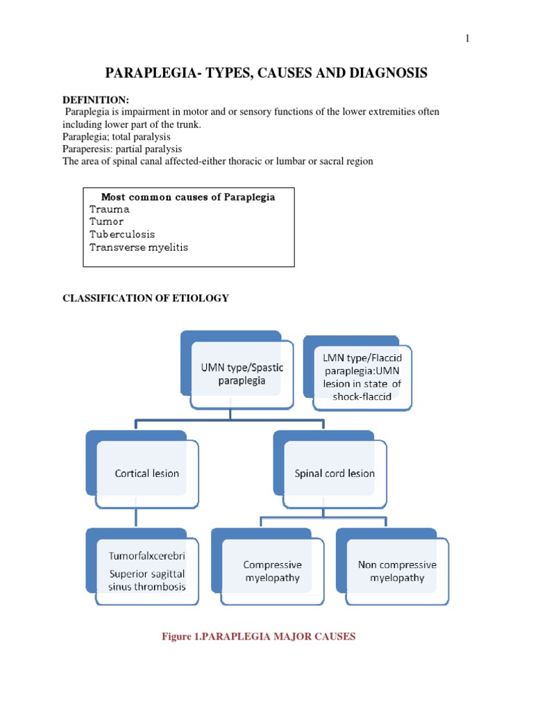 Paraplegia Types Causes and Diagnosis | Spinal Cord | Vertebral Column