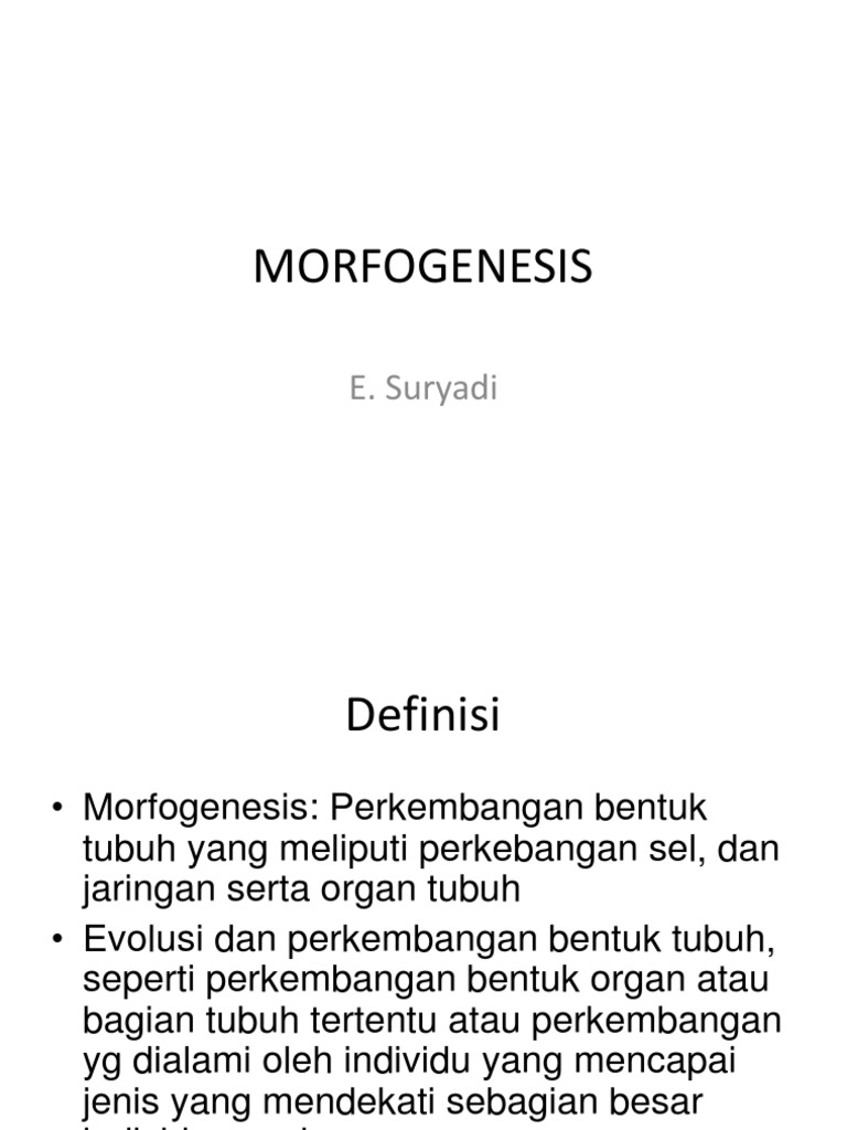 Morfogenesis | PDF