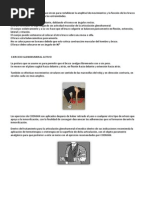 Ejercicios Pendulares de Codman | PDF | Salud y bienestar