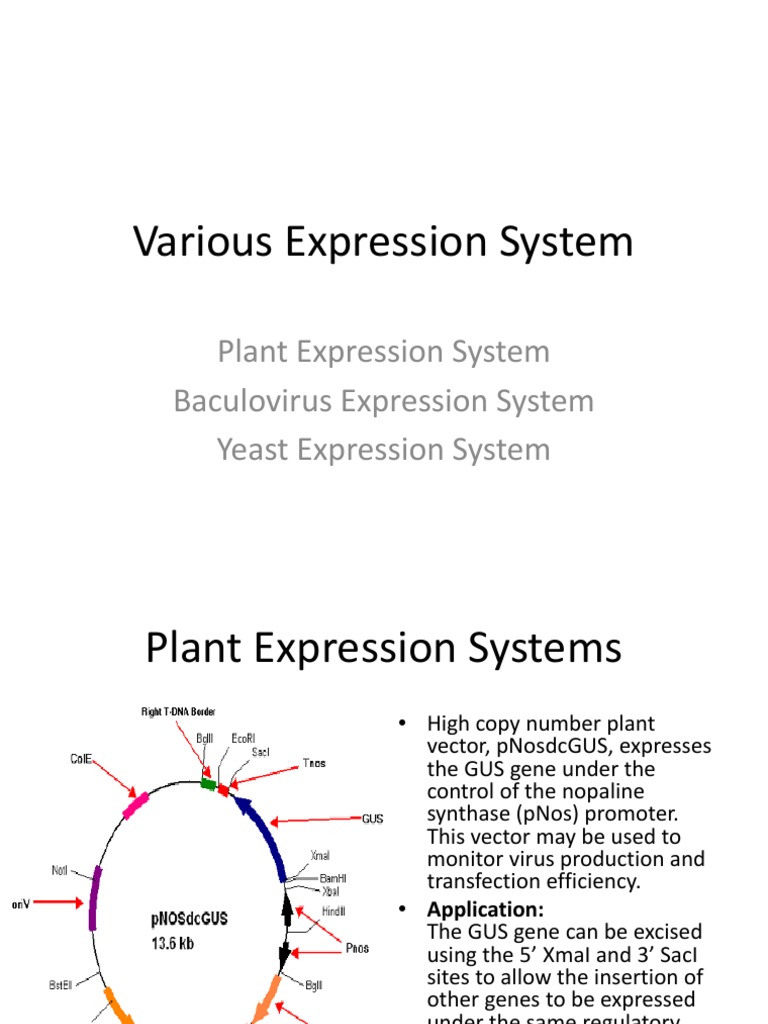 Various Expression System | PDF | Vector (Molecular Biology ...