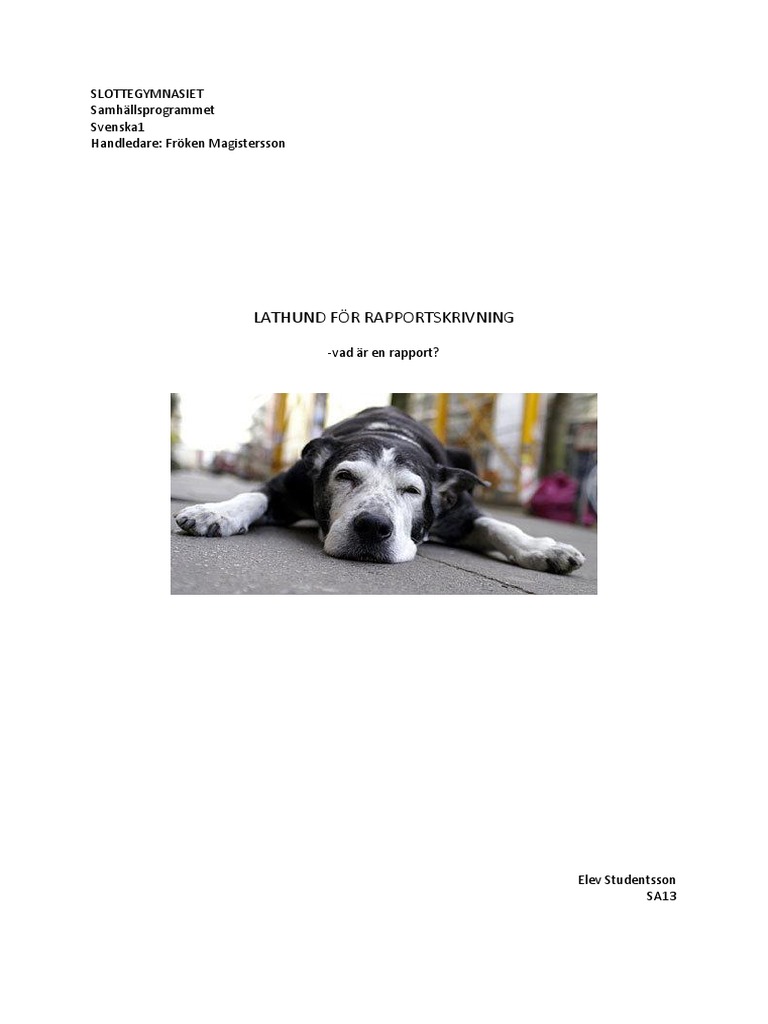 lathund för rapportskrivning | PDF