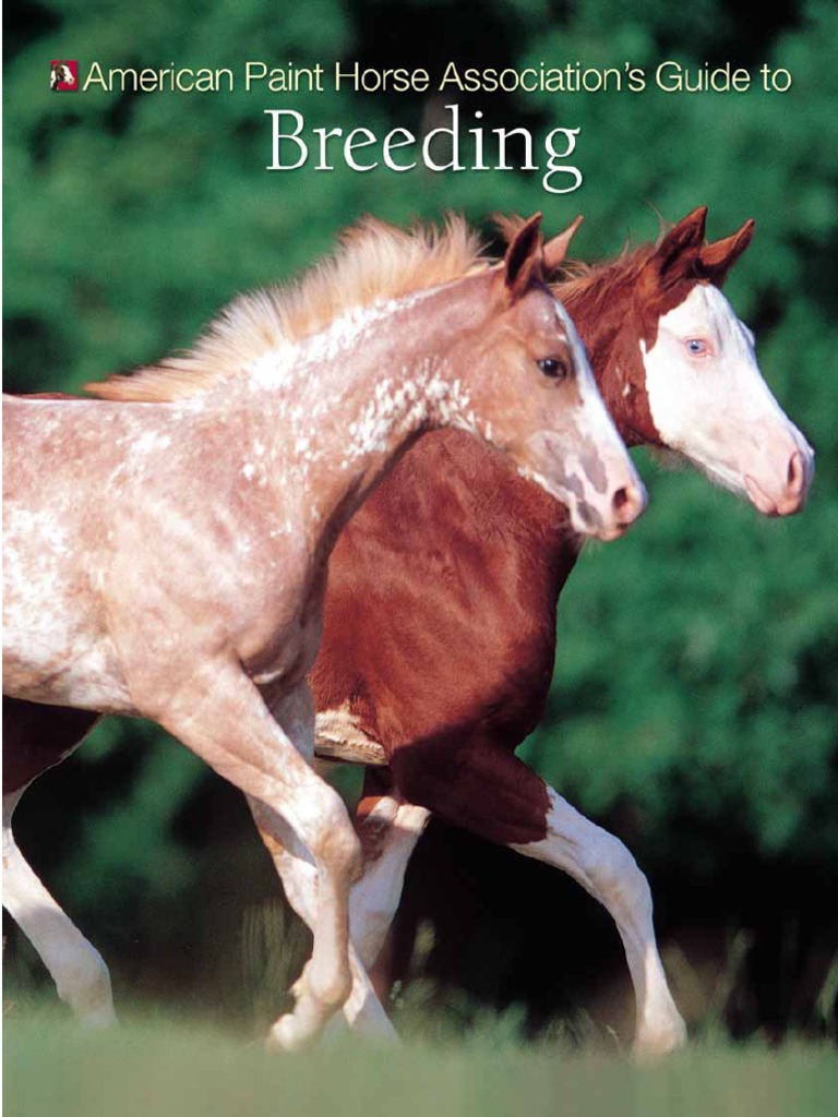 Breeding Guide | Horse Breeding | Inbreeding