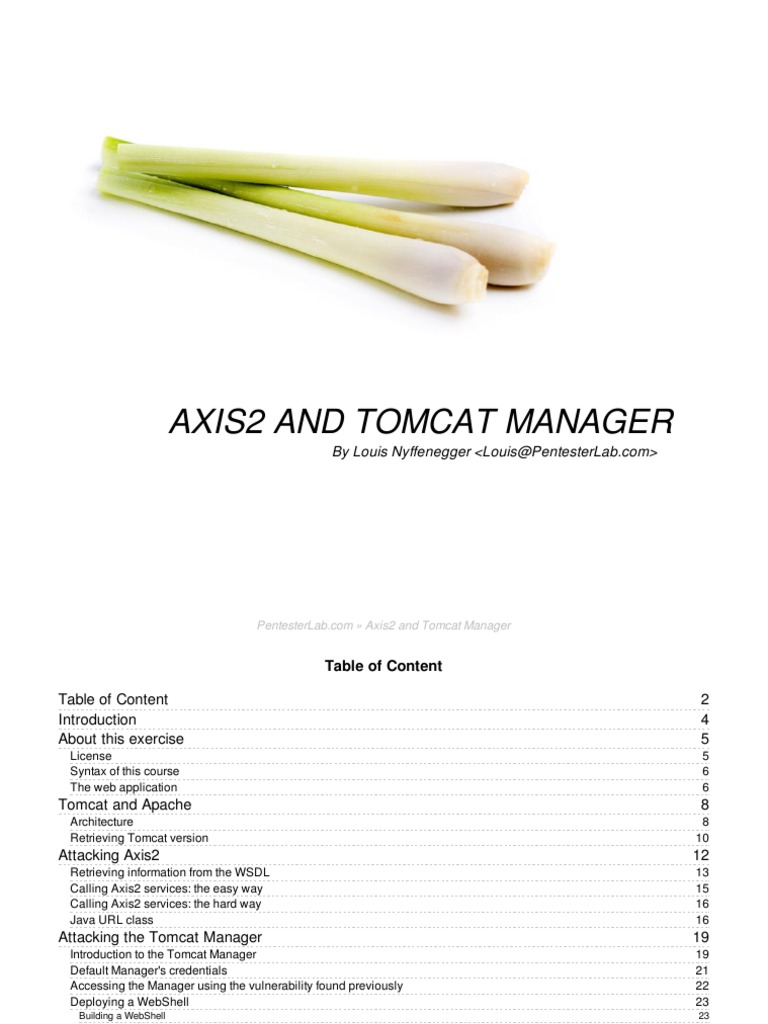 Axis2 and Tomcat Manager | PDF