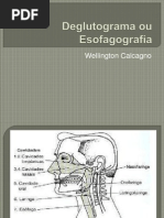 Exame de Esofagografia com Contraste | PDF | Vômito | Esôfago