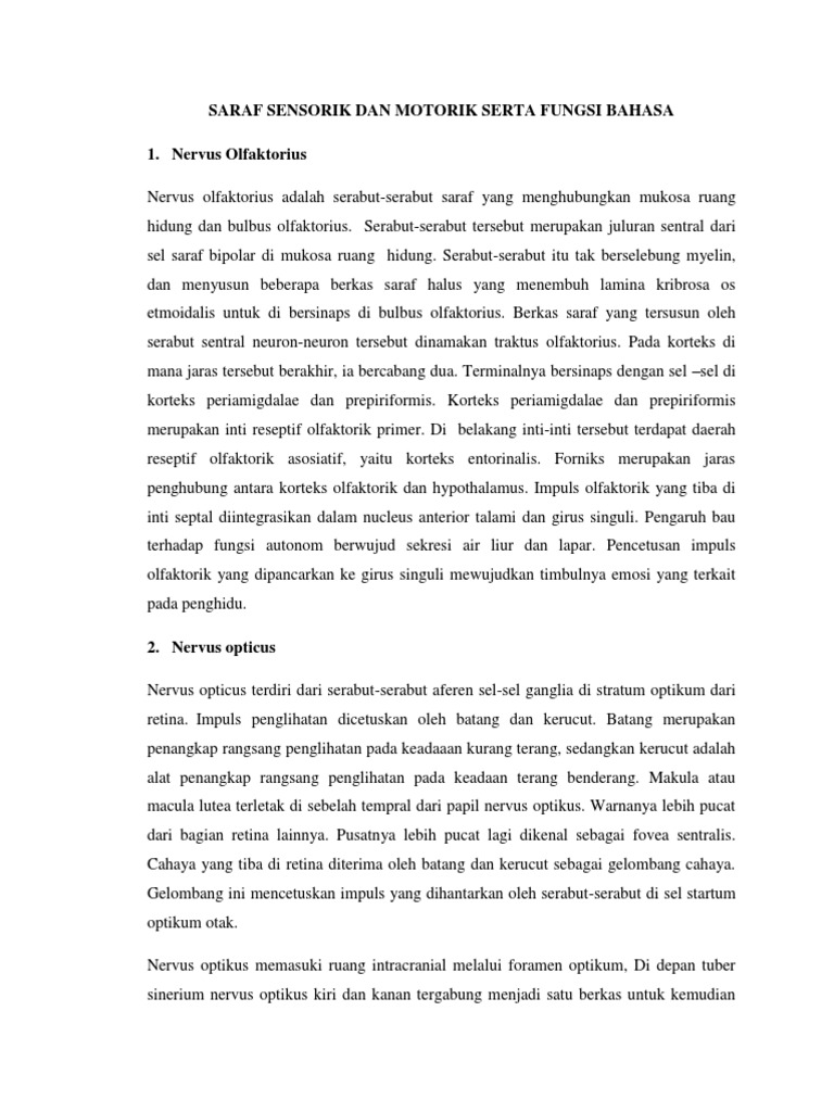 Saraf Sensorik Dan Motorik Serta Fungsi Bahasa | PDF