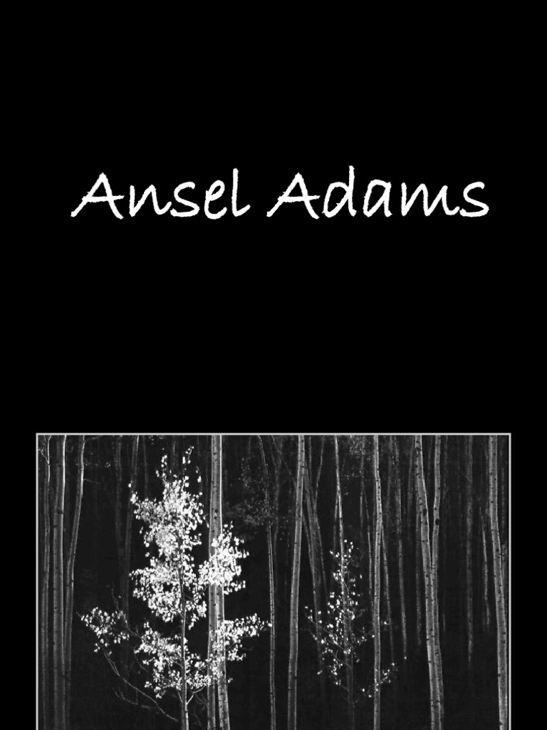 Ansel Adams | PDF