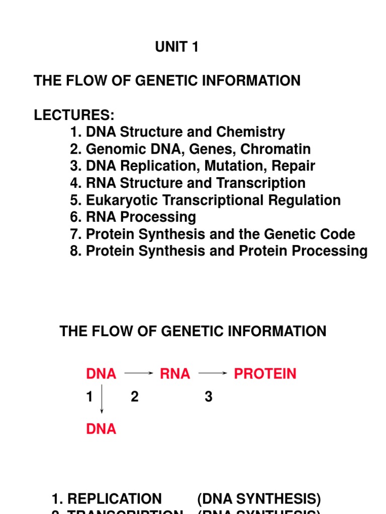 Flow of Genetic Information 1 | PDF | Directionality (Molecular Biology ...