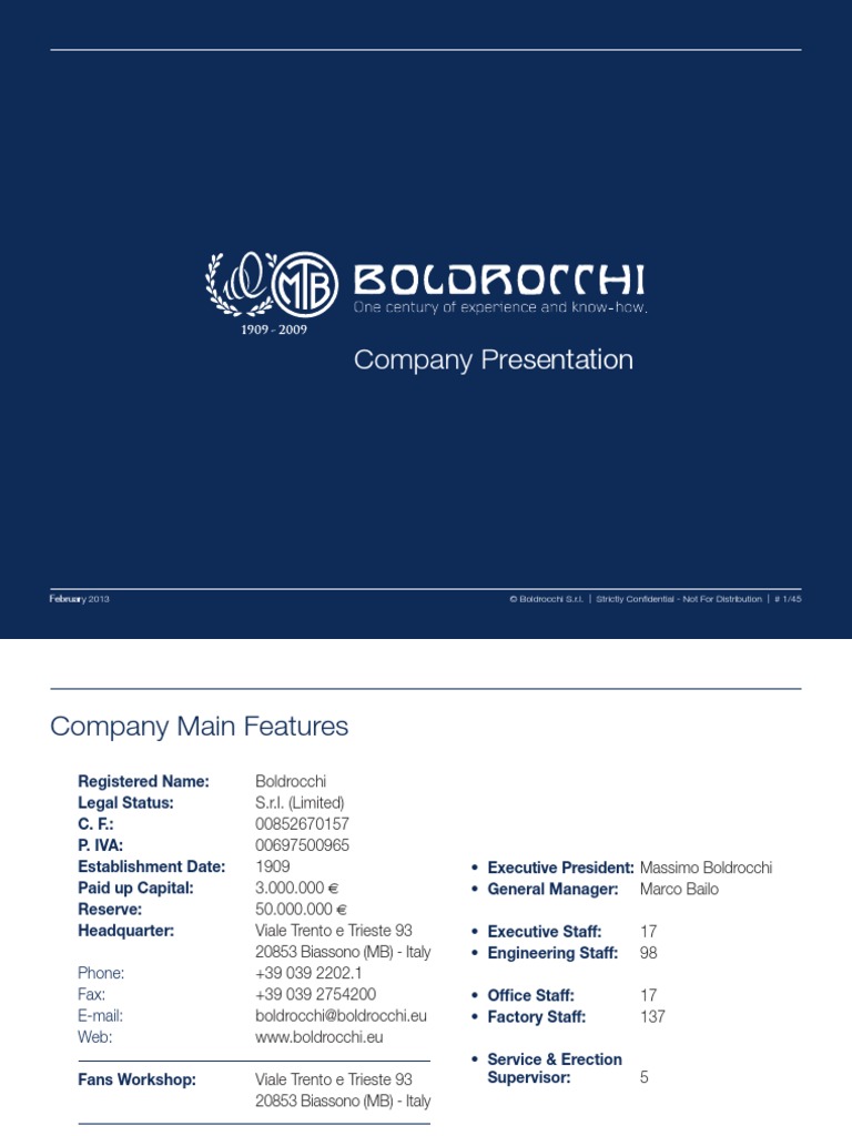 Boldrocchi Company Presentation 2013pdf | Boiler | Furnace