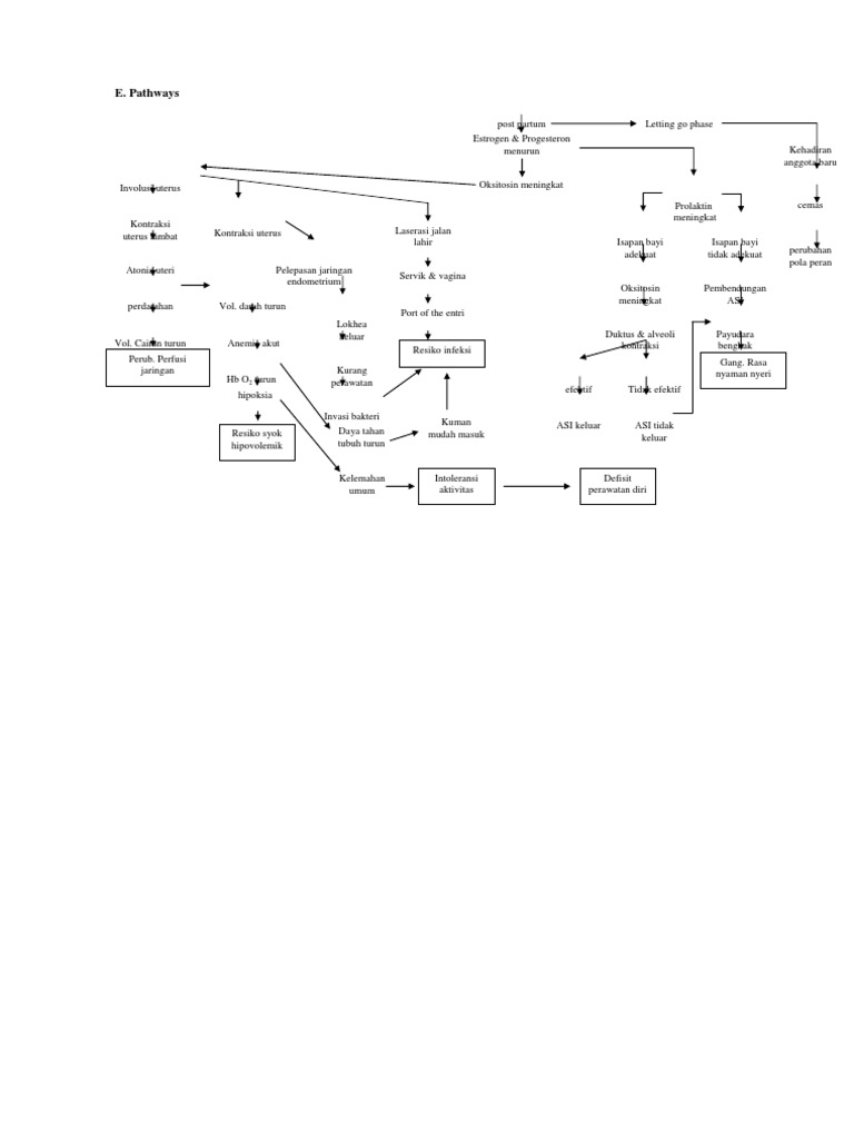 Pathway Post Partum | PDF