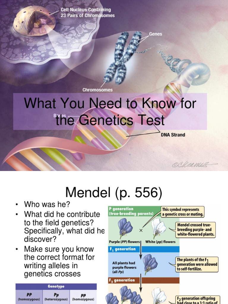 What You Need To Know For The Genetics | PDF