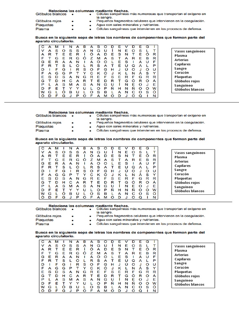 Sopa de Letras Aparato Circulatorio | PDF