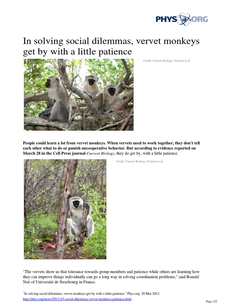 2013 03 Social Dilemmas Vervet Monkeys Patience | PDF | Thought | Learning