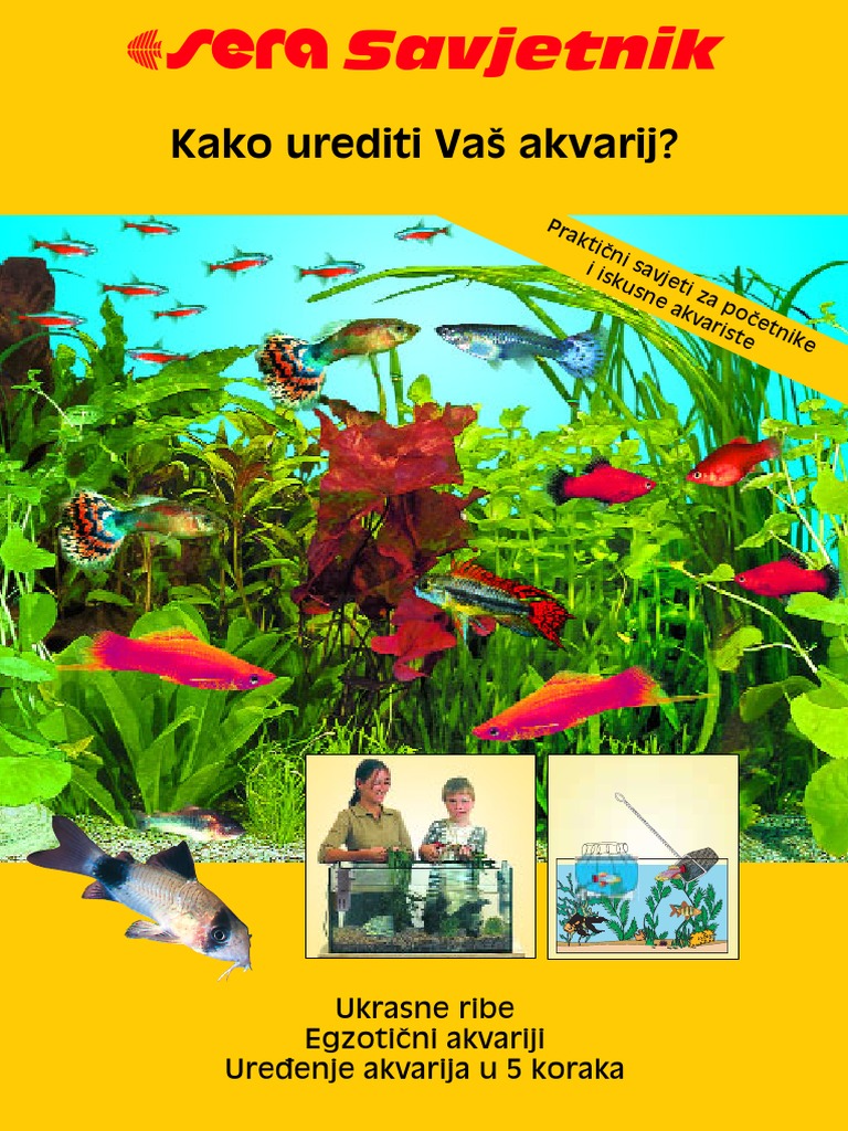 Kako Urediti Vas Akvarij | PDF