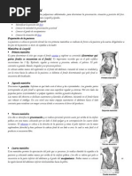 AMNIORREXIS | PDF | Parto | Embarazo humano