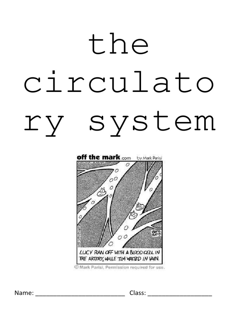 Understanding the Human Heart | PDF | Heart | Atrium (Heart)