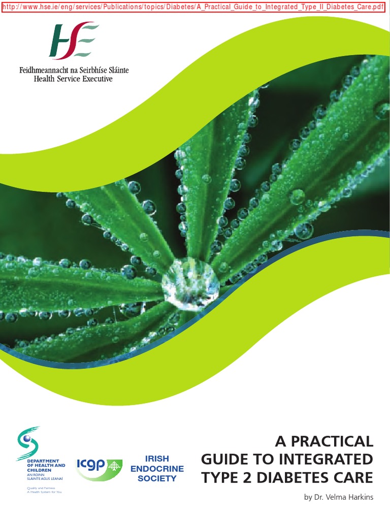 A Practical Guide To Integrated Type II Diabetes Care | PDF ...